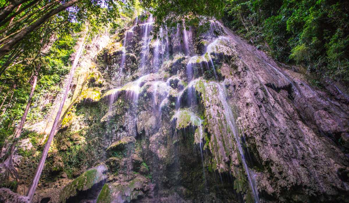 ♥ Tumalog Falls: A Waterfalls Worth the Chase ♥